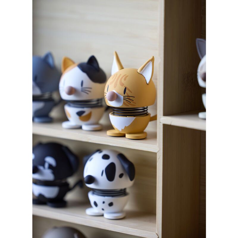 Hoptimist | Orange Tabby Hoptimist | Kitchen Living Dining